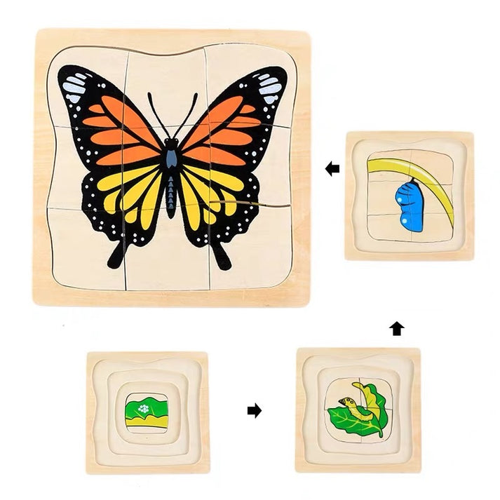 Life Cycle of Butterfly Puzzle – Proudly Montessori